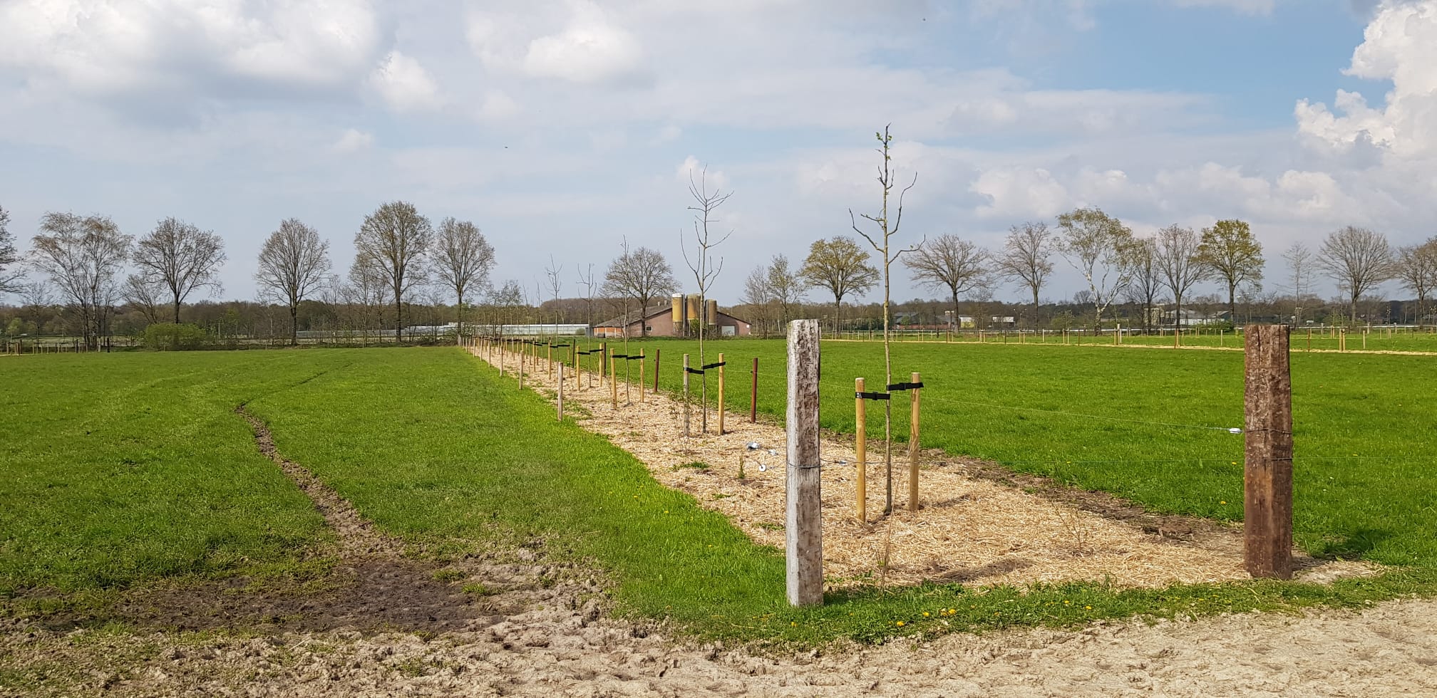 Agroforestry Netwerk Limburg - Stichting Natuurinclusieve Landbouw Limburg