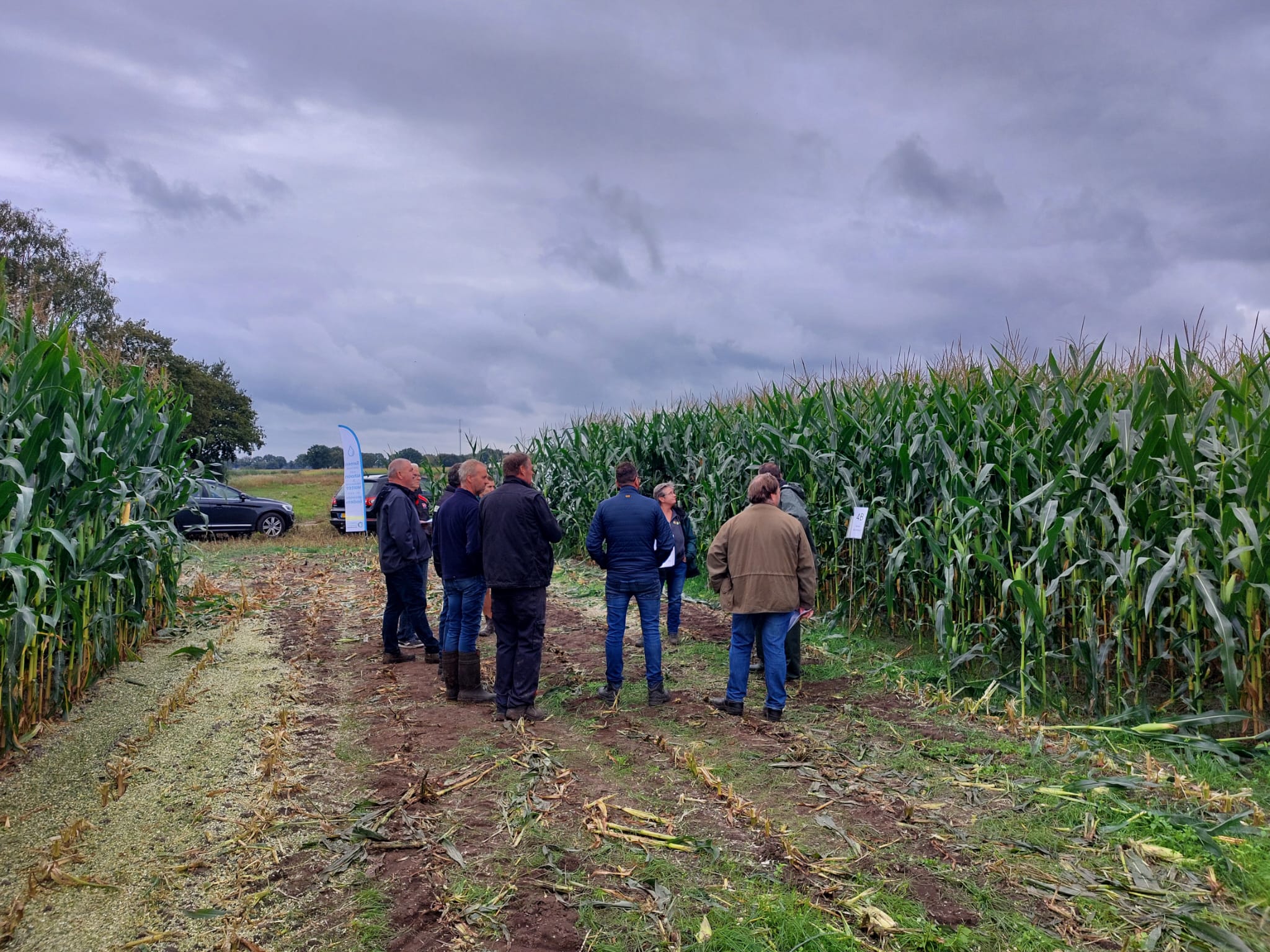 Aanknopingspunten voor duurzame maïsteelt - Stichting Natuurinclusieve ...